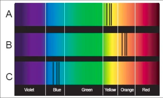 Gimkit - live learning game show