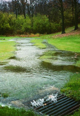 Gimkit - live learning game show