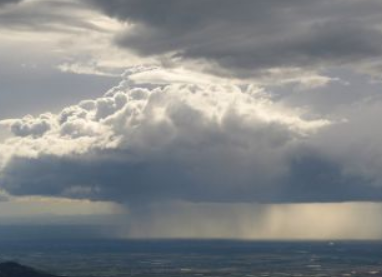 Gimkit - live learning game show