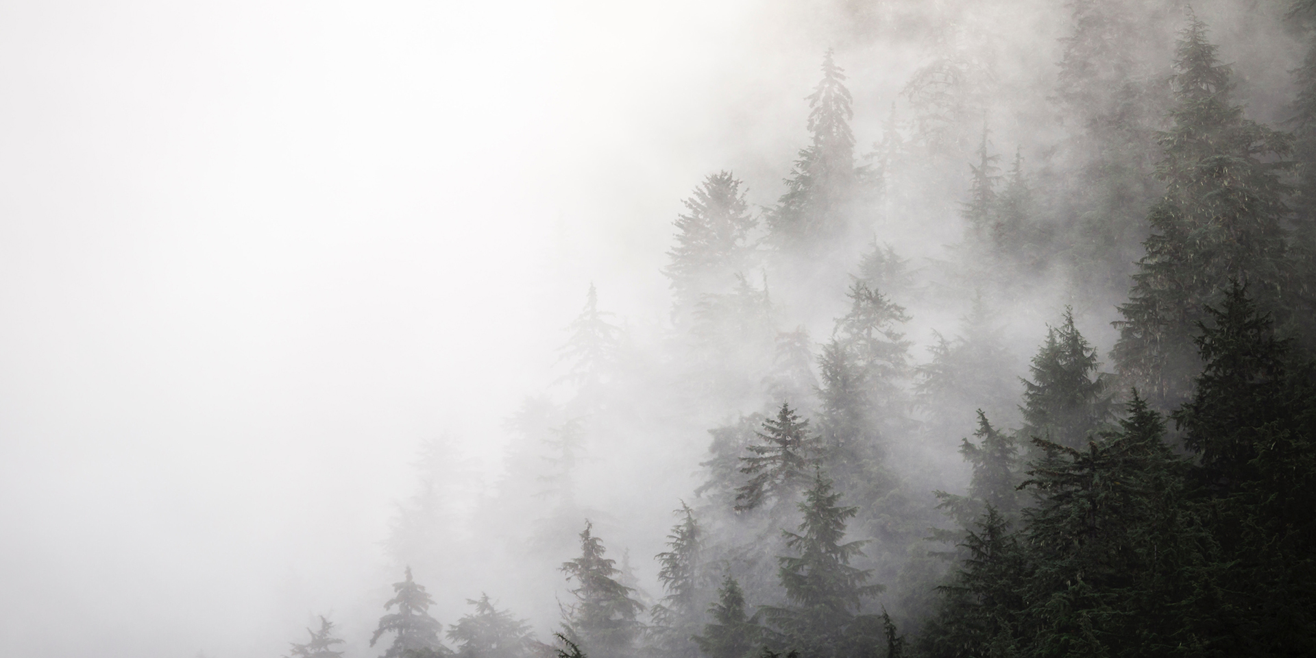 Gimkit - live learning game show