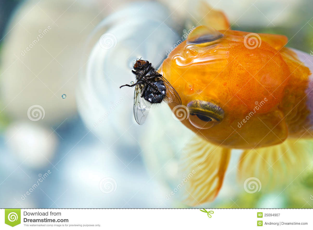 Gimkit - live learning game show