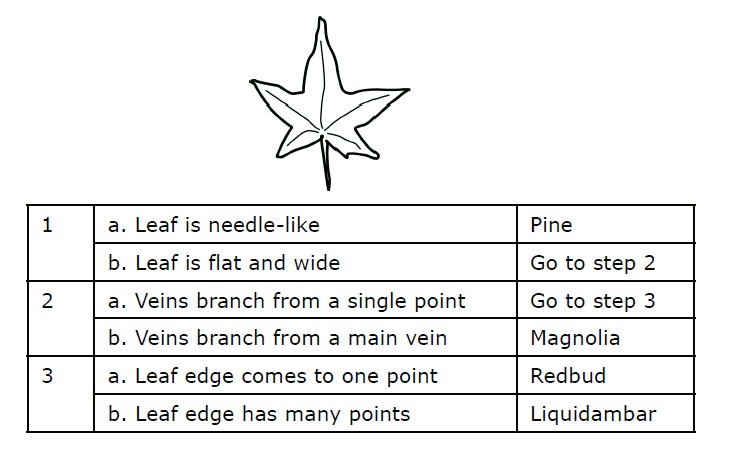 Gimkit - live learning game show