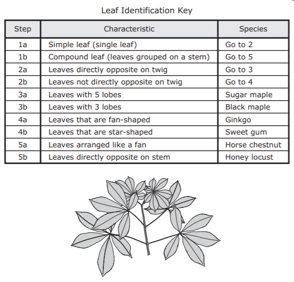 Gimkit - live learning game show