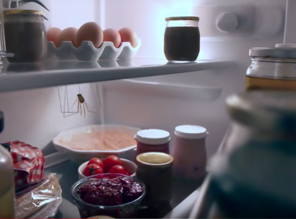 Gimkit - live learning game show