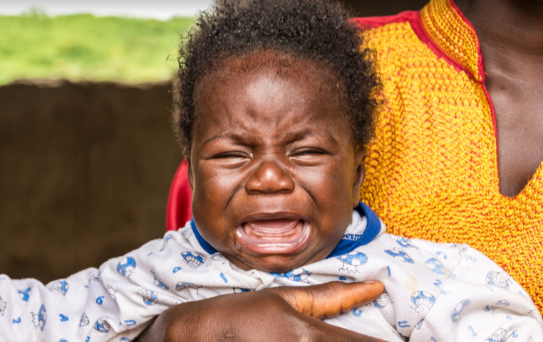 Gimkit - live learning game show