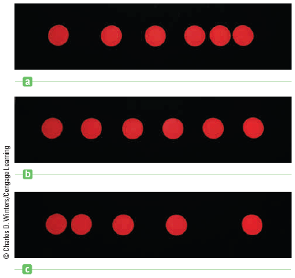 Gimkit - live learning game show