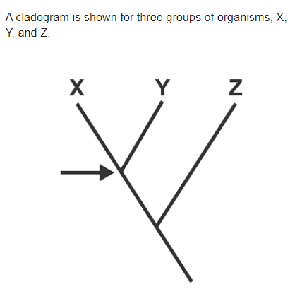 Gimkit - live learning game show