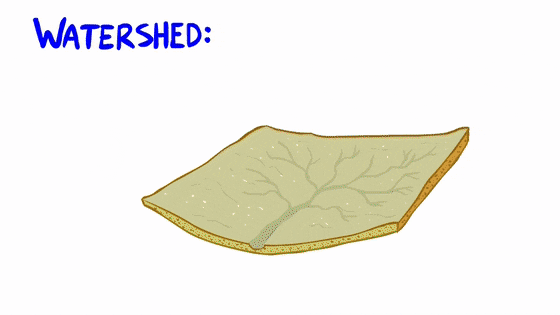 Gimkit - live learning game show