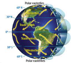 Gimkit - live learning game show