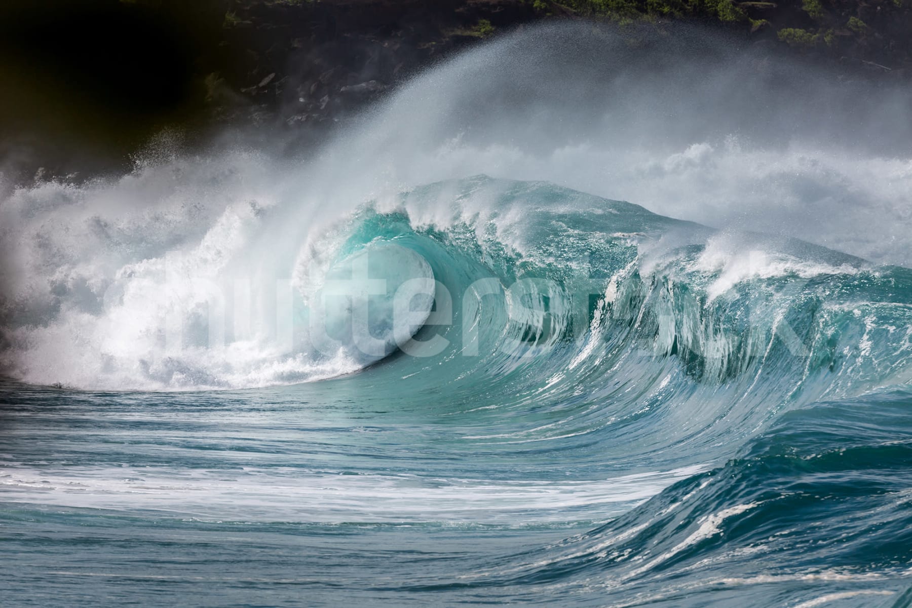 Single Wave | Rebel Walls