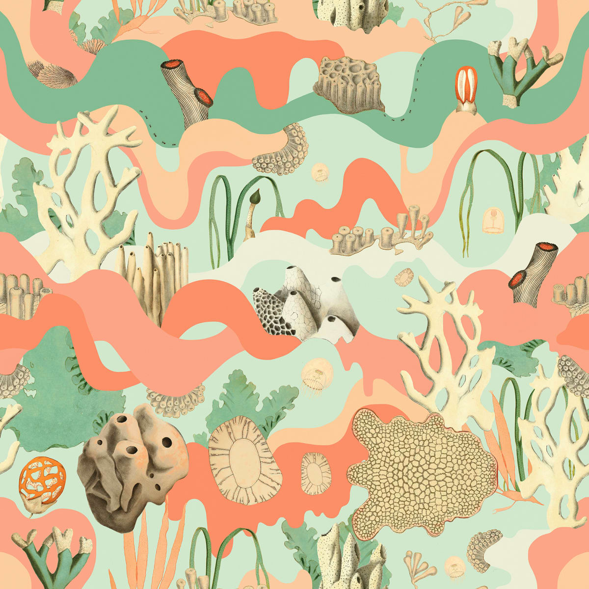 Seven Seas | Rebel Walls