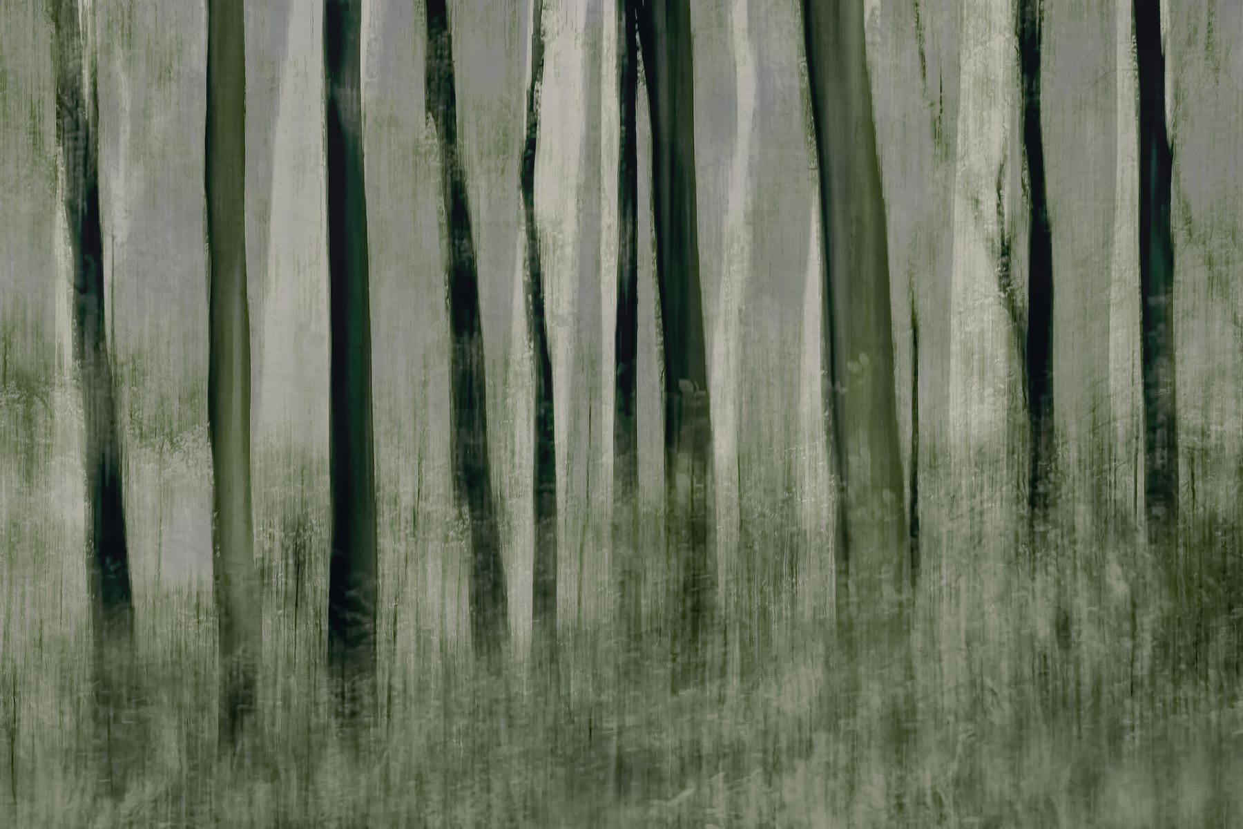 Painted Trees - Rebel Walls