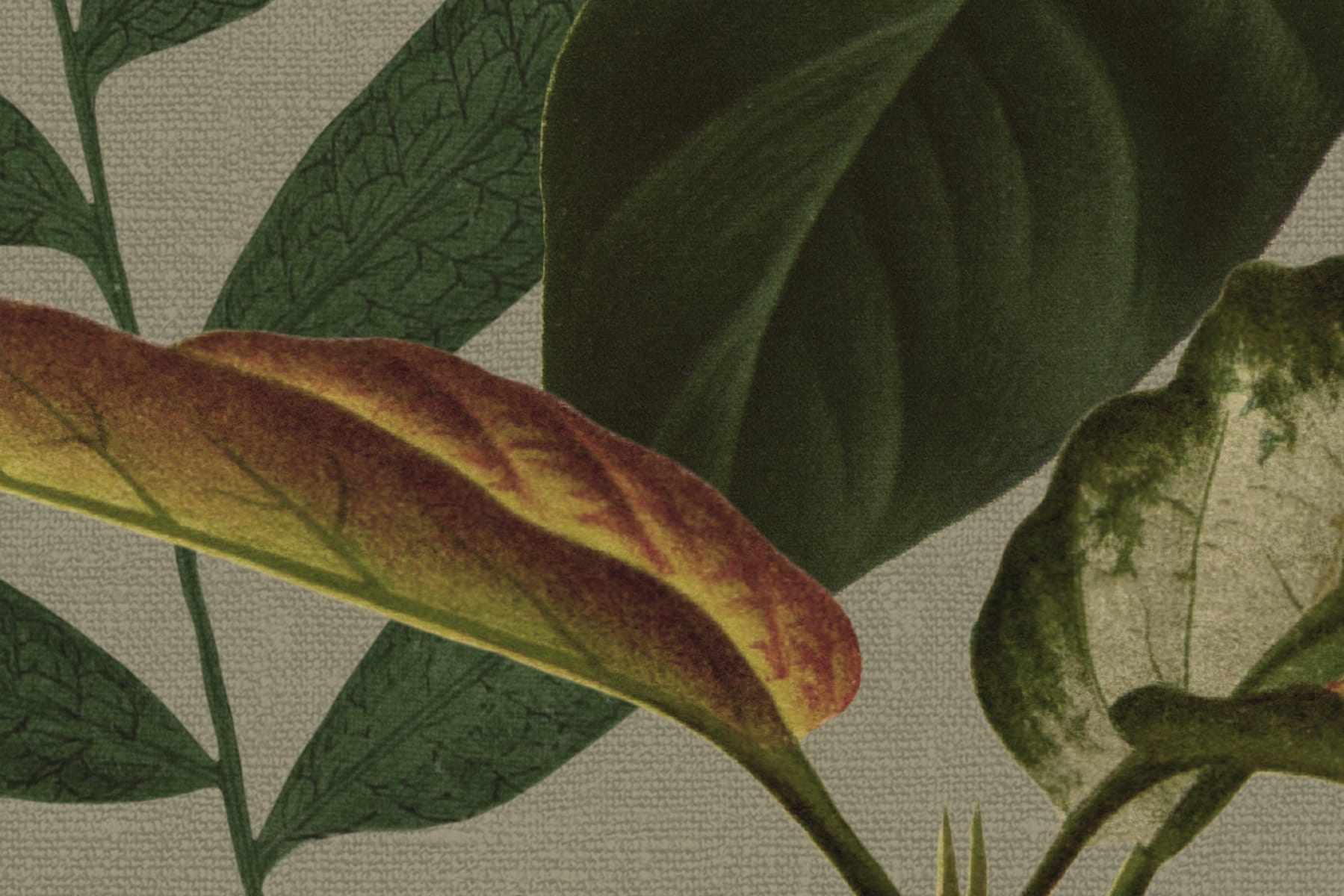 Mischievous Jungle Sand | Rebel Walls