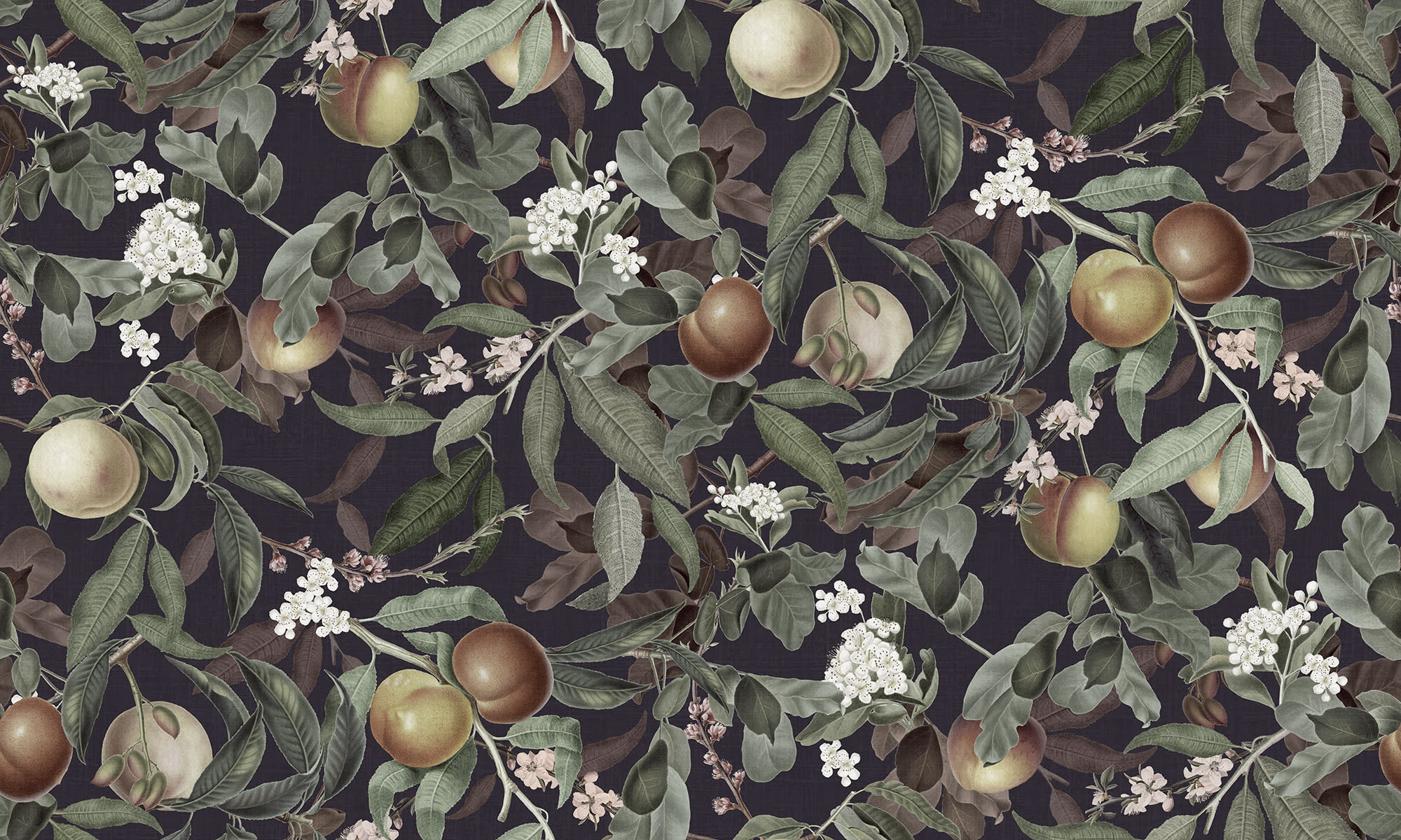 Peach Valley Bold, Midnight | Rebel Walls