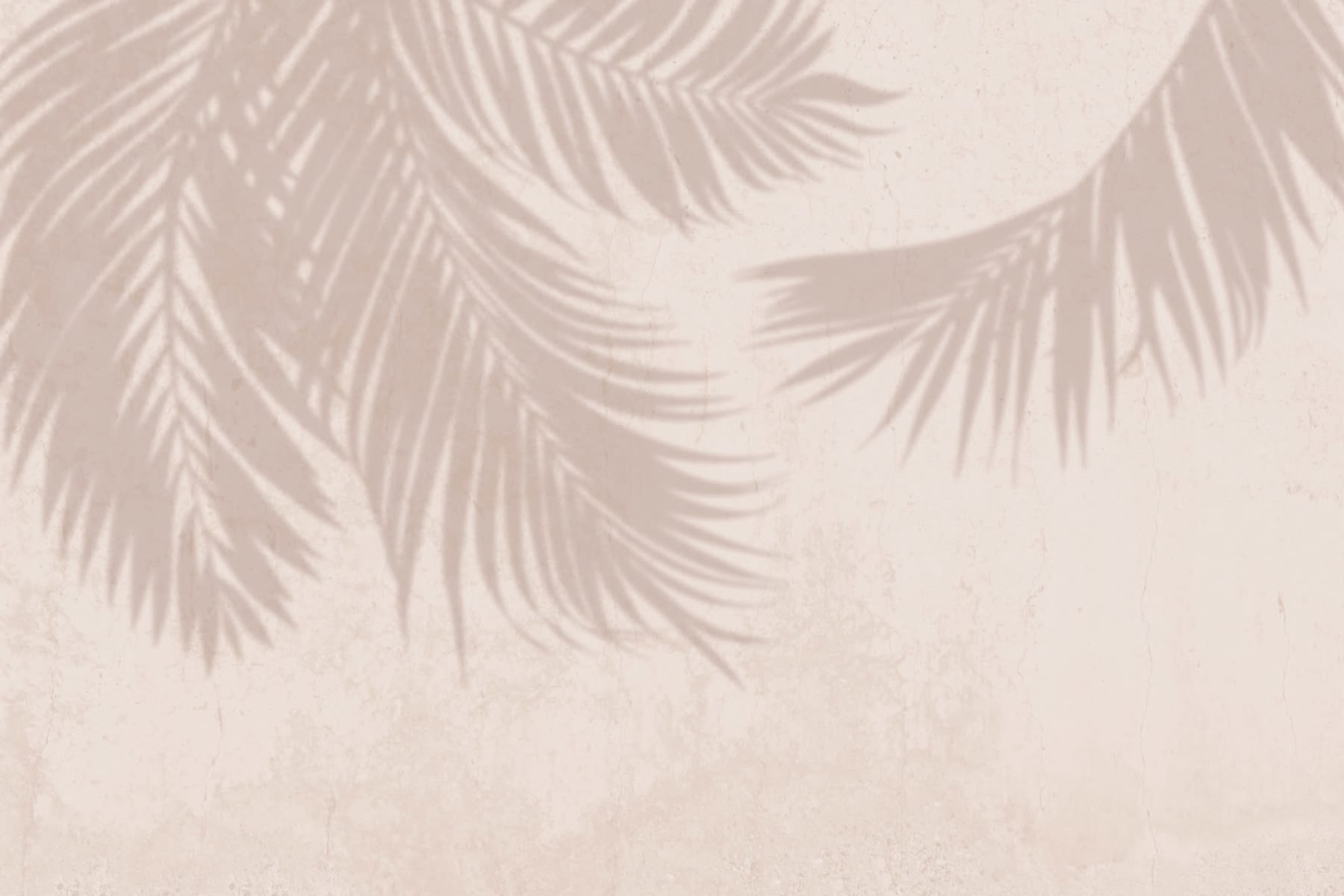 Neutral Palm Leaf & Concrete Wall Mural - Hovia