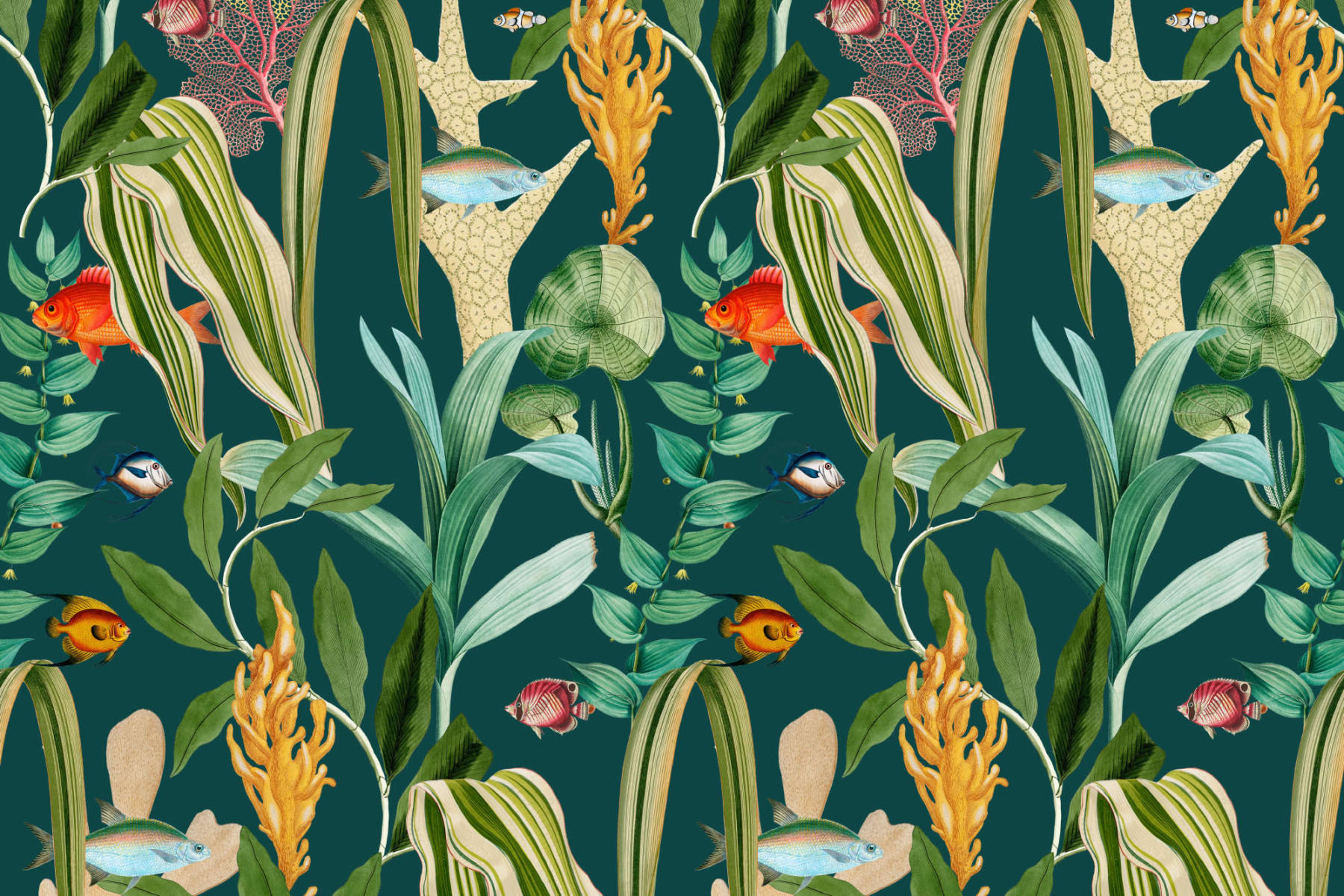 Teal Fish & Plants Coastal Wallpaper - Hovia | Hovia