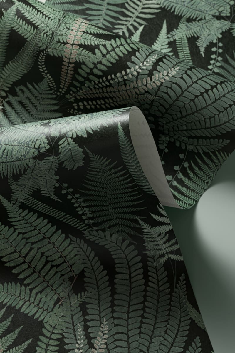 Dark Green Vintage Fern Illustrations Pattern Wallpaper - Hovia