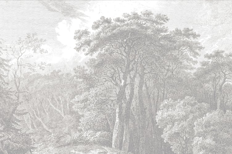 grey wallpaper trees