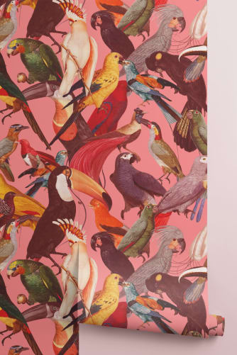 funky bird wallpaper