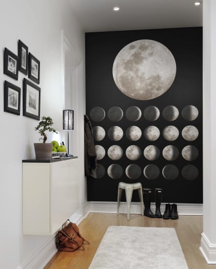 Moon | Rebel Walls