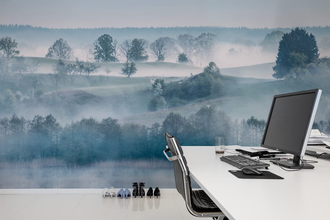 Morning Haze - Wallpaper | Rebel Walls