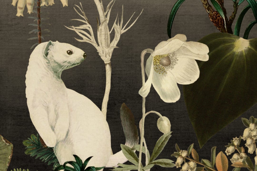 Rabbit Hole - Wallpaper | Rebel Walls