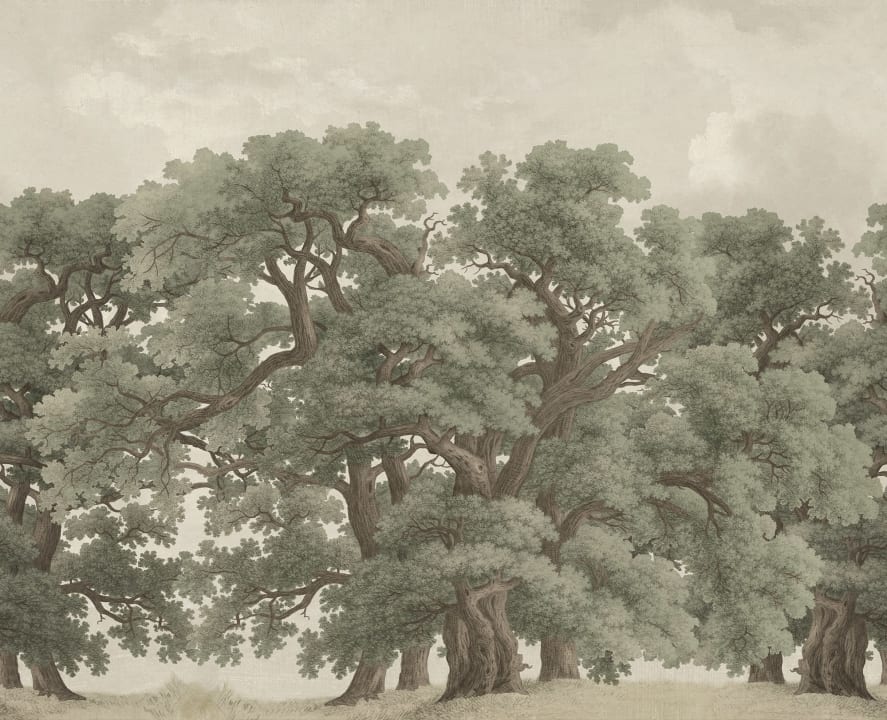 Large Tree Wallpaper The Range