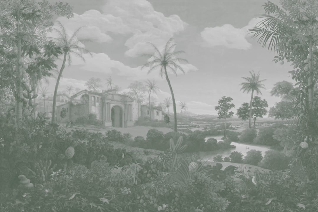 Tropical Wallpaper