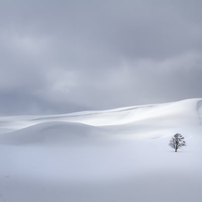 Snowy Hills - Rebel Walls