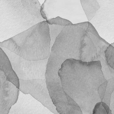 Petals, Graphite - Rebel Walls