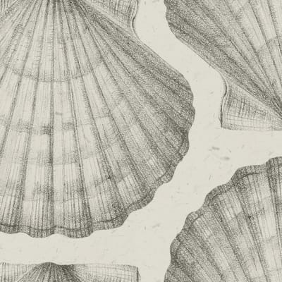 Shells Sand - Rebel Walls