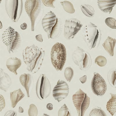 Ocean Shells Sand - Rebel Walls