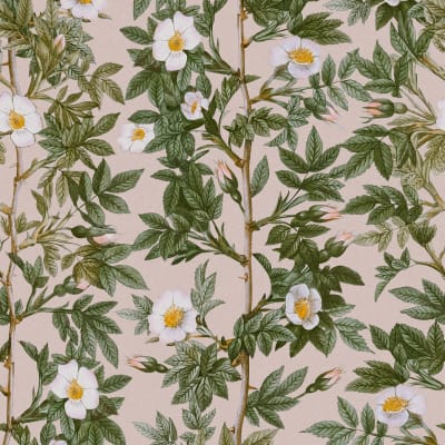 Rose Hip Pink - Rebel Walls