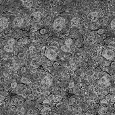 Marbling, Graphite - Rebel Walls