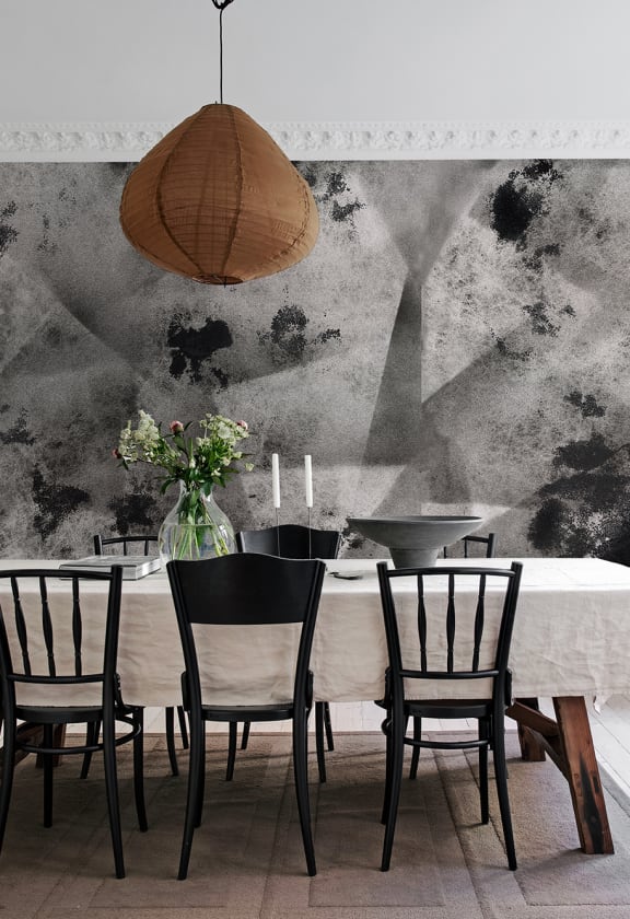 Ash, Graphite | Rebel Walls