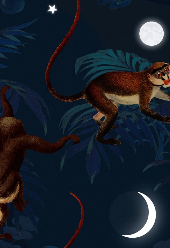 Space Monkey - Wallpaper | Rebel Walls