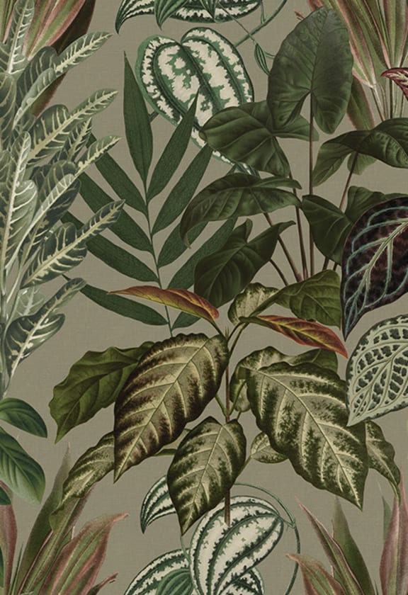 Mischievous Jungle Sand - Tapeter | Rebel Walls