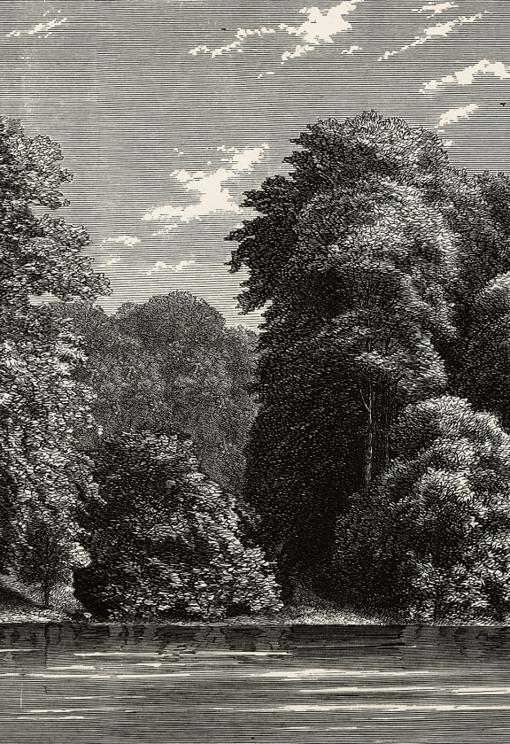 Spring Season Vintage - Wallpaper | Rebel Walls