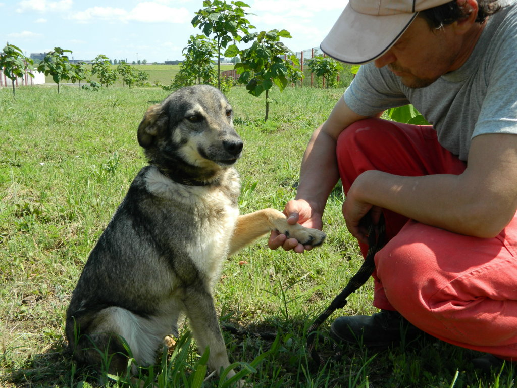 ROLDA UK - Online Social Fundraising Donation Platform | Givey