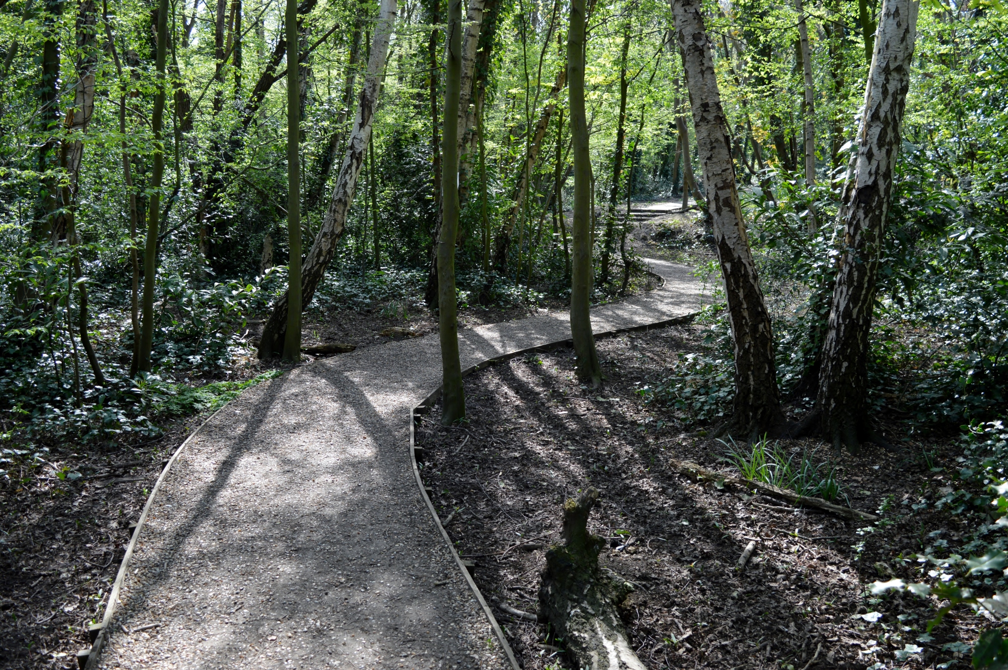 Help us rebuild the Boundary Oak Walk! - Online Social Fundraising ...