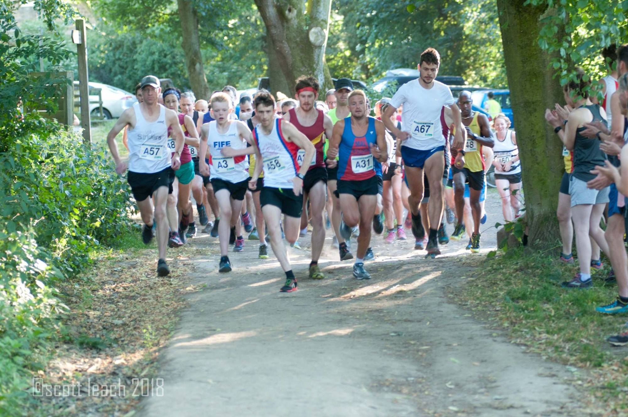 Virtual Danefield - Online Social Fundraising Donation Platform | Givey