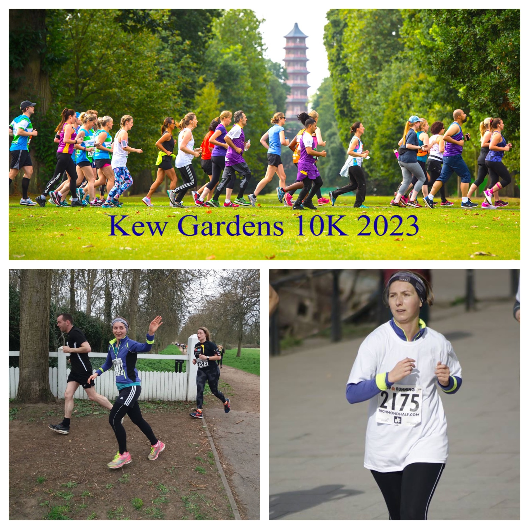 Developing MCA's Community Hub - Online Social Fundraising Donation ...