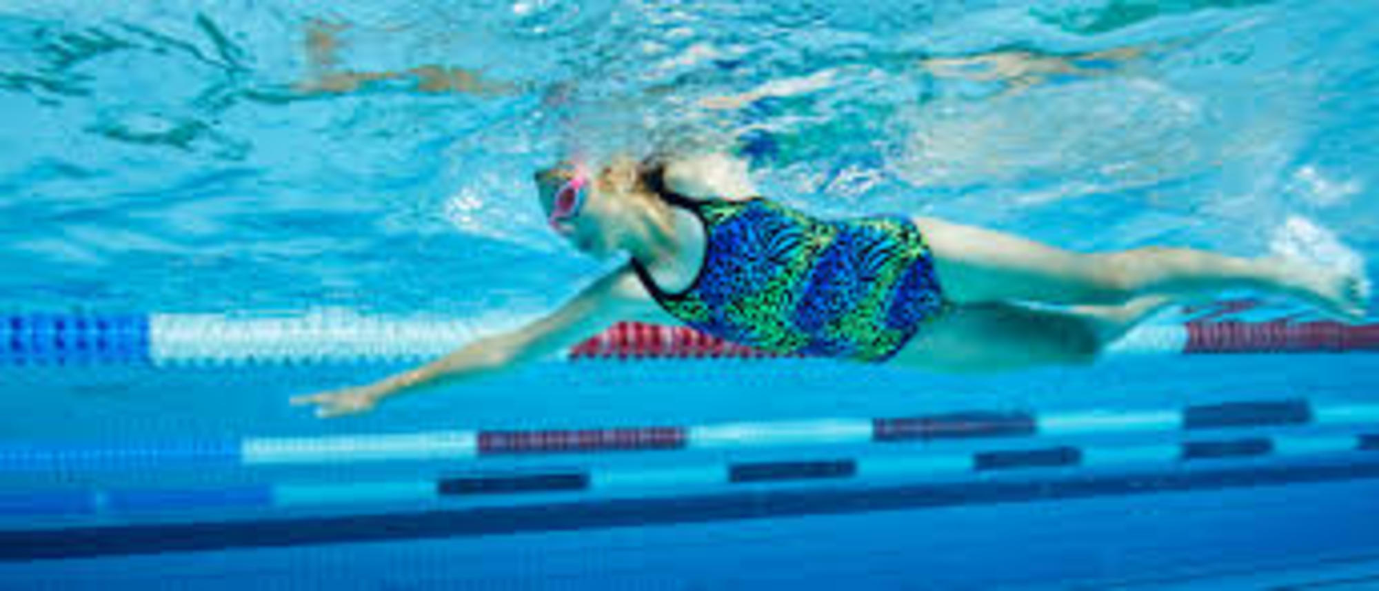 Dippers and Divers - Online Social Fundraising Donation Platform | Givey