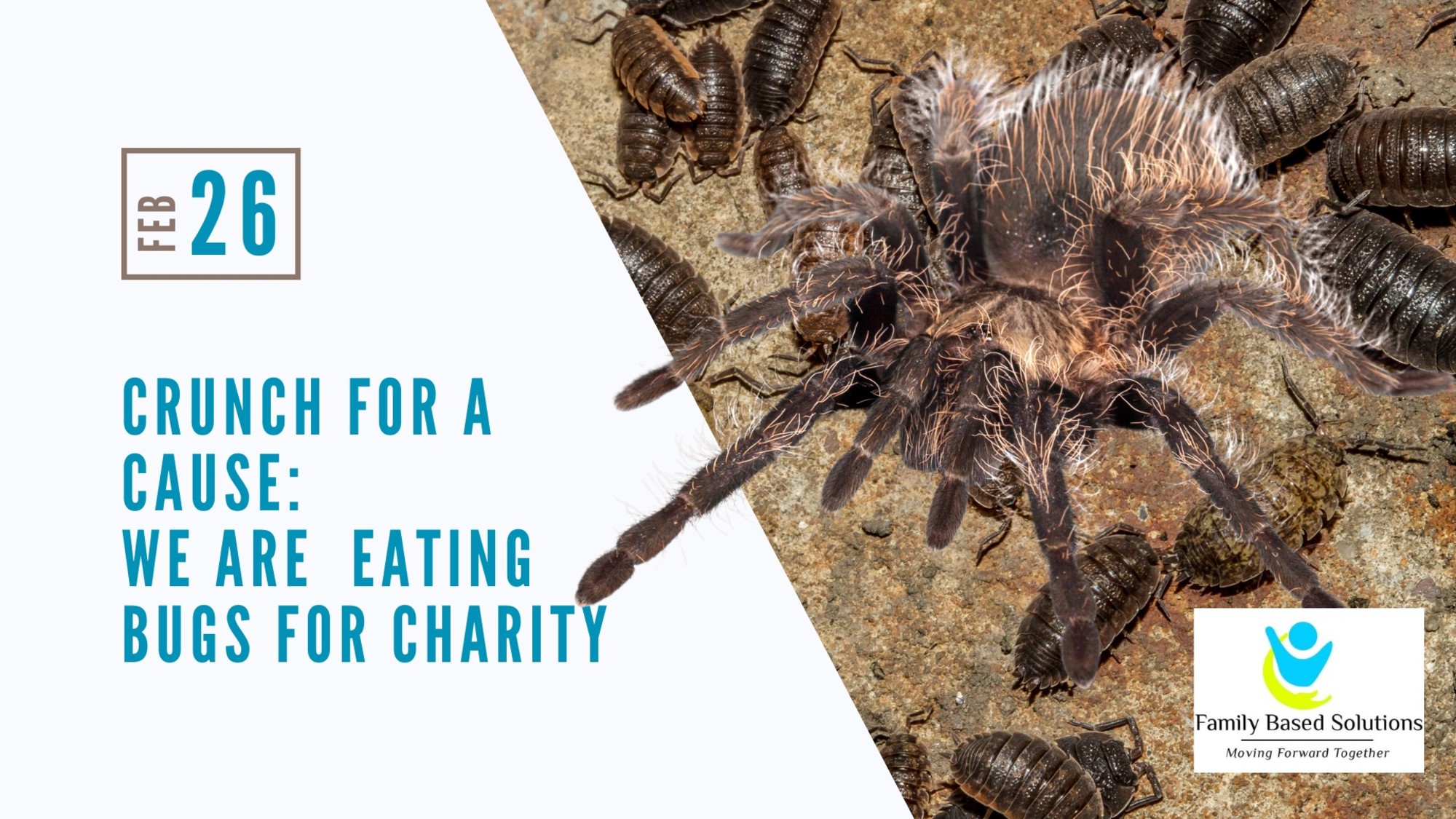 Dare to Eat Bugs for Charity! - Online Social Fundraising Donation ...