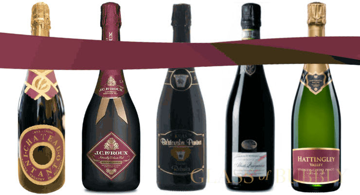 Five Dark Ruby Red Sparkling Wines - Glass Of Bubbly