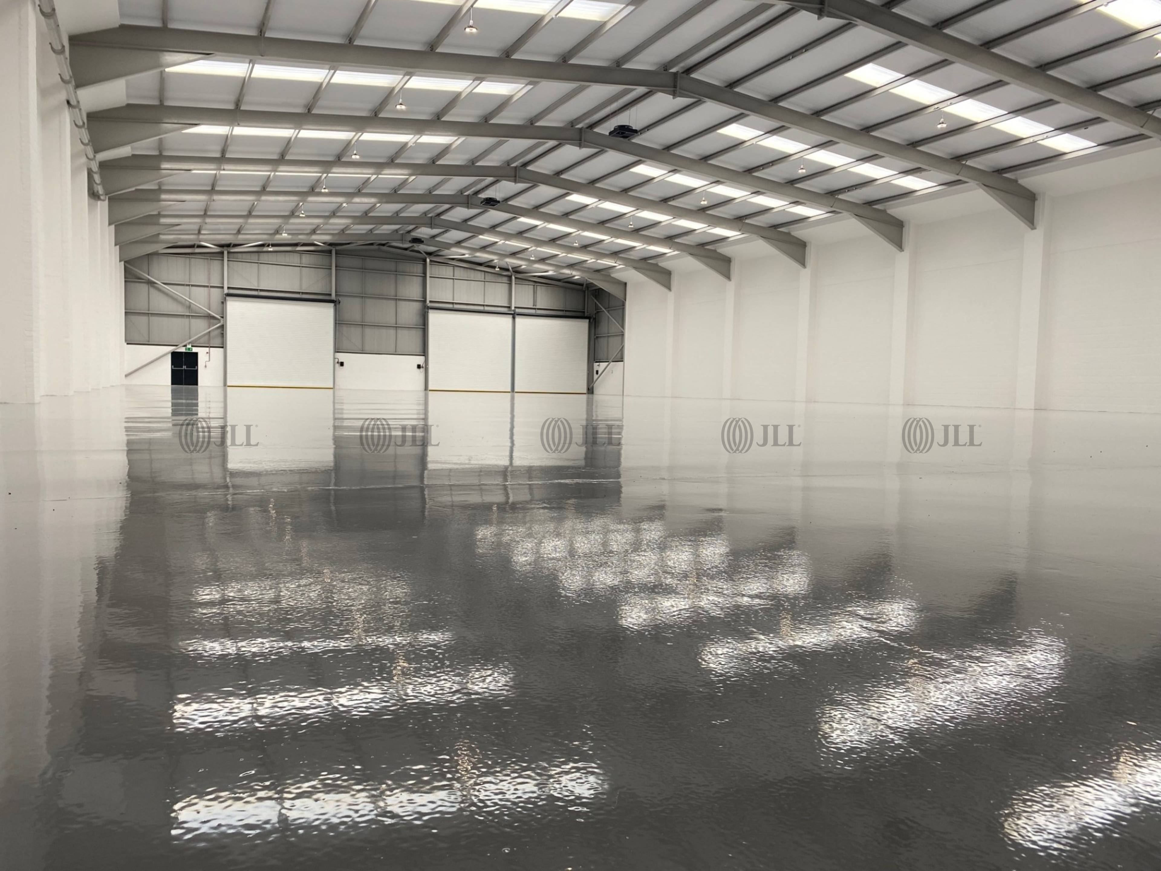 Sarah Downes | Estate agent | JLL