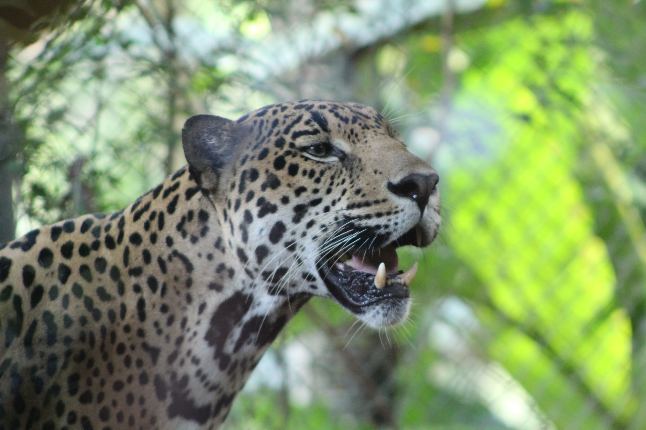 School Trip to Costa Rica | Countries | Global Action