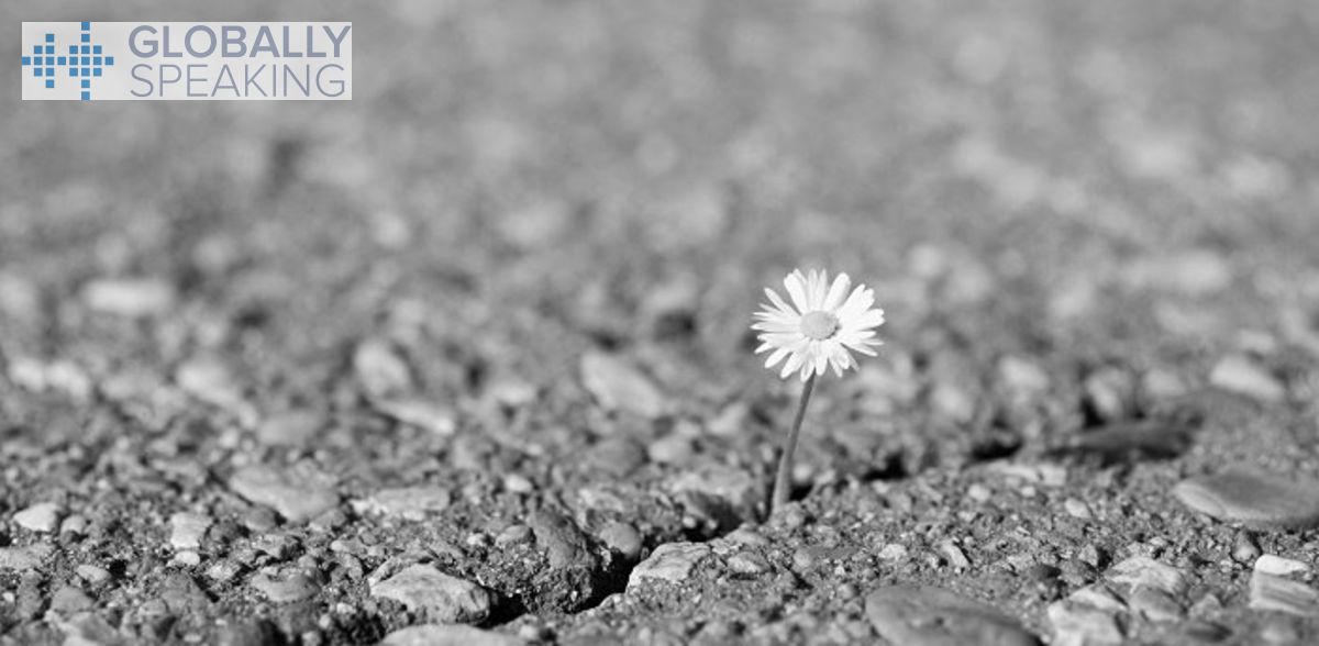 Globally Speaking: When Translation Saves Lives: The Vision of ...