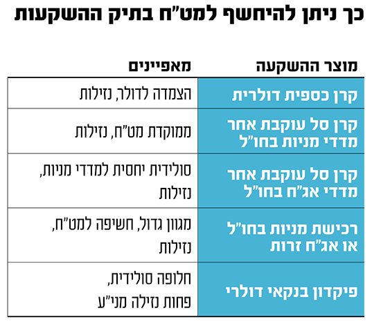 למה האירו מתחזק ואיך אפשר להרוויח מזה גלובס