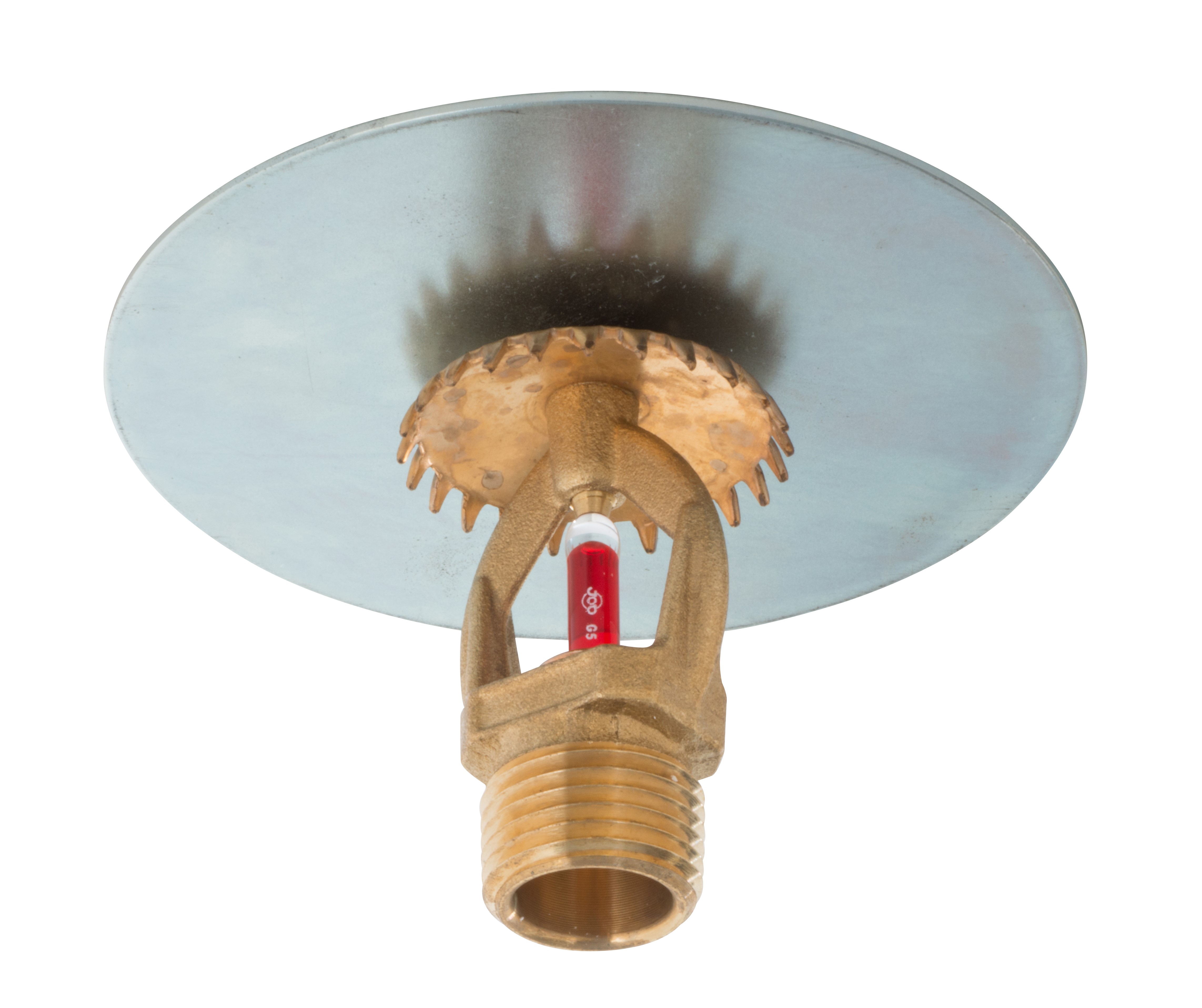 Globe | Ameripipe Supply, Inc